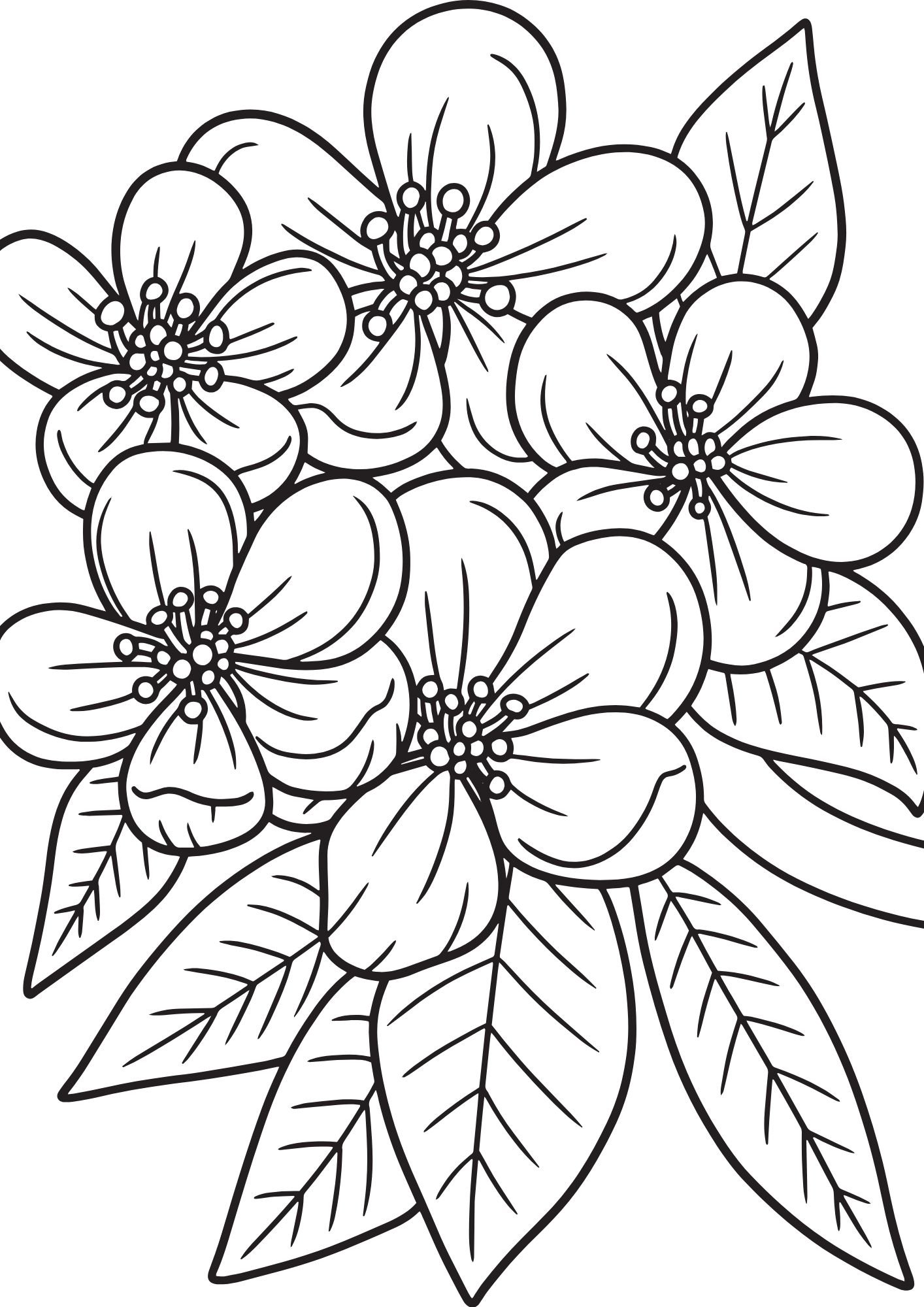 50 Beautiful Flower Printable Colouring Pages for All Ages