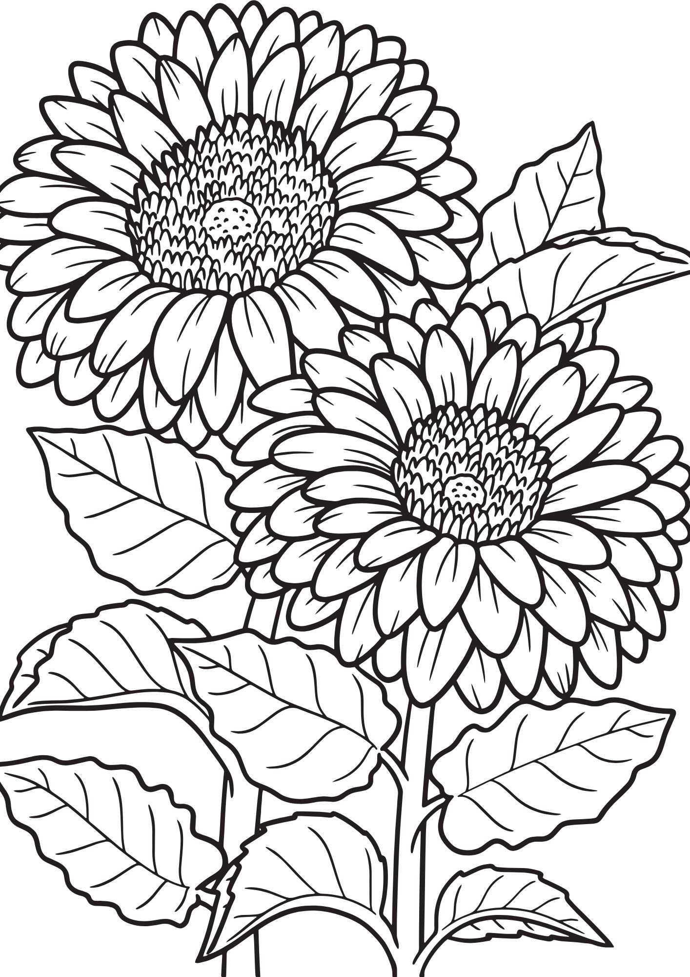 50 Beautiful Flower Printable Colouring Pages for All Ages