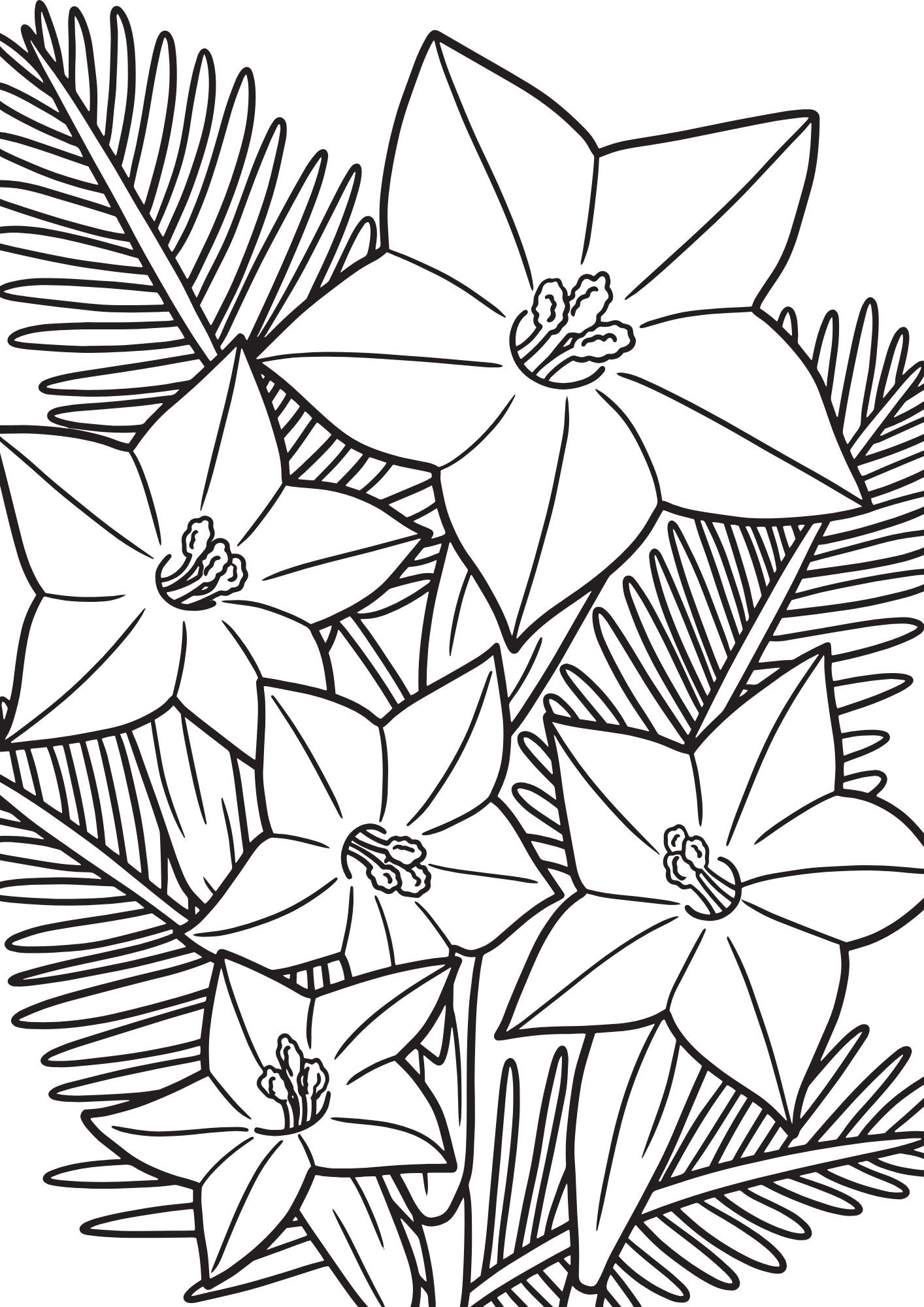50 Beautiful Flower Printable Colouring Pages for All Ages
